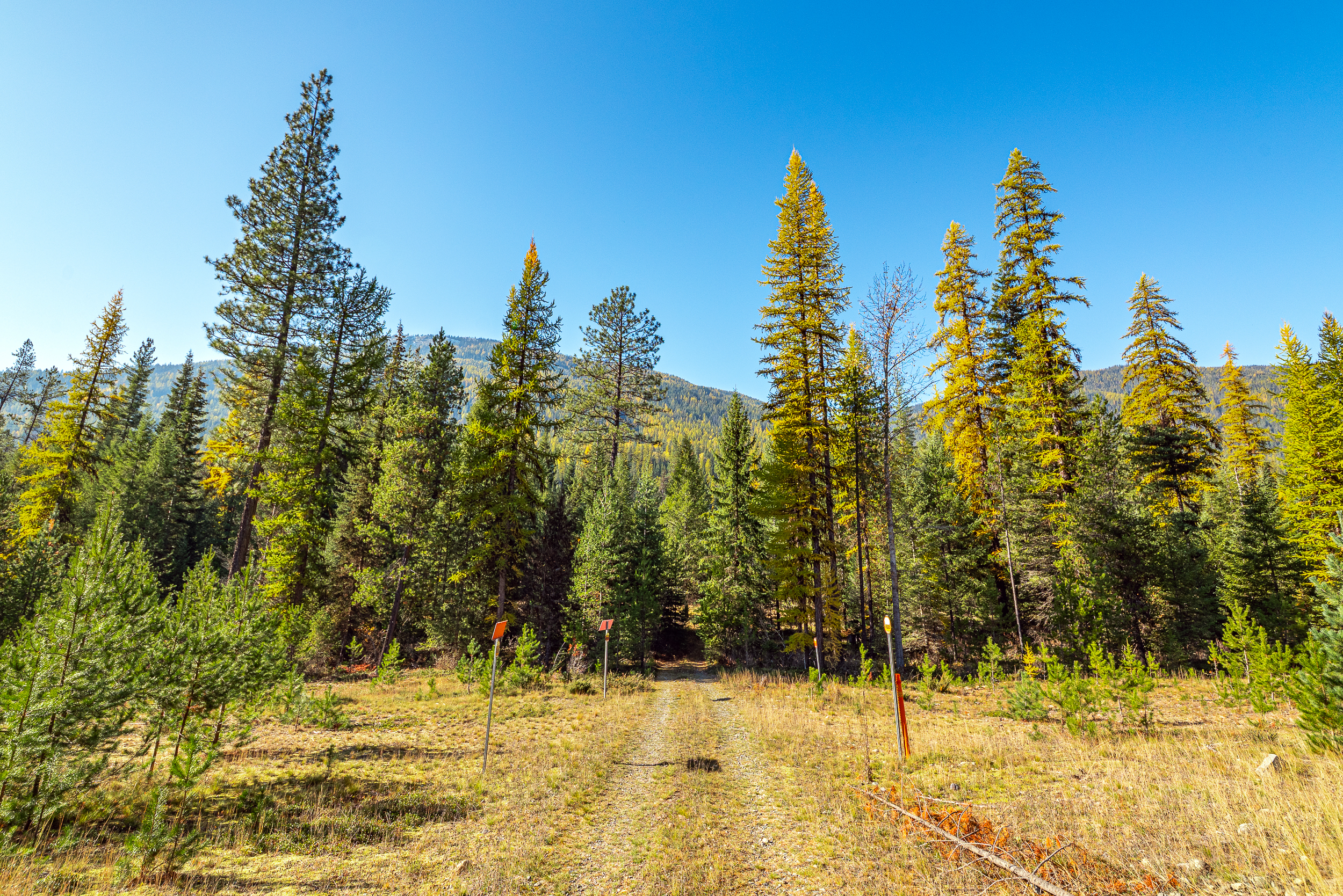NNA Moyie River Rd Lot2 and Lot3